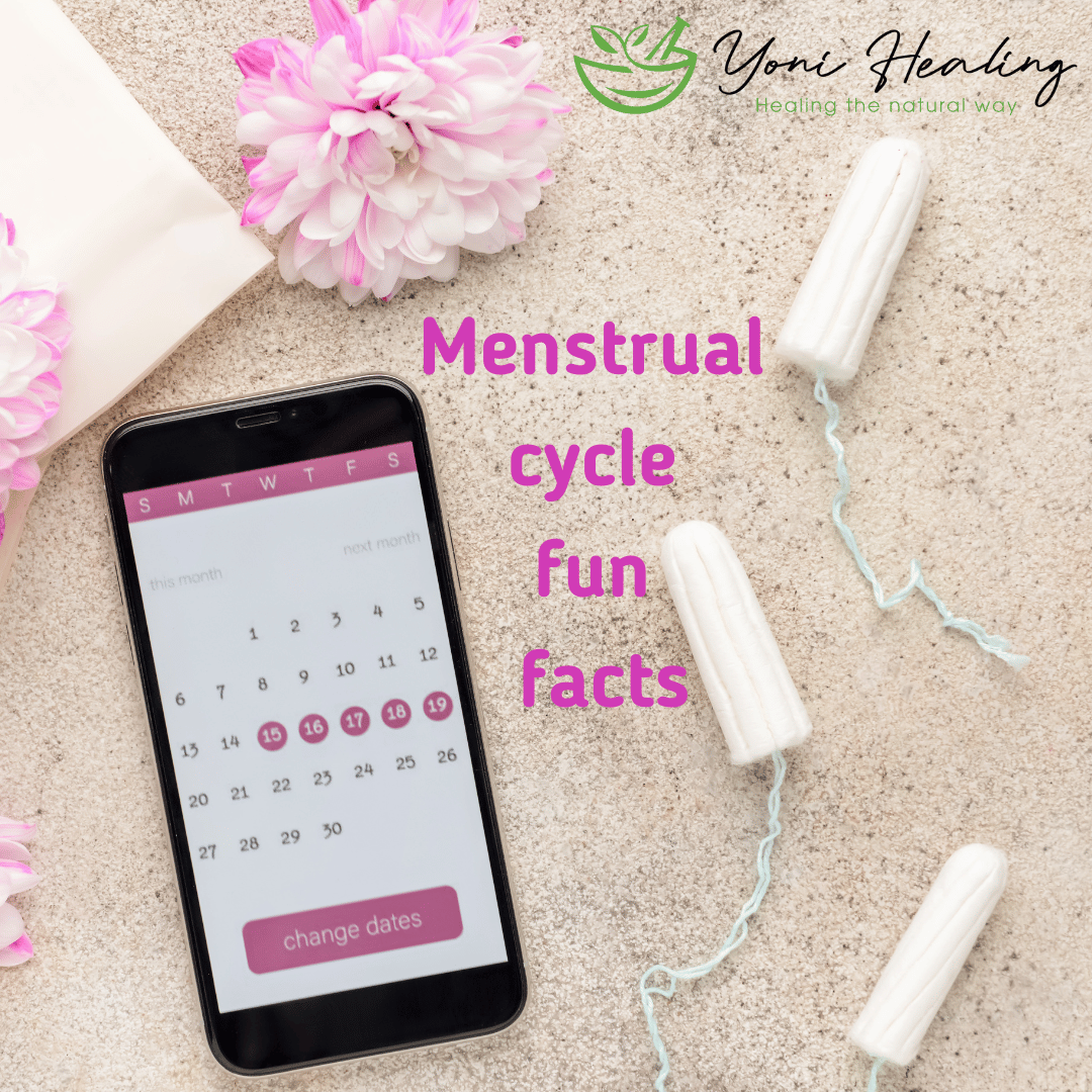 The quirky secrets and hidden superpowers of your menstrual cycle that ...